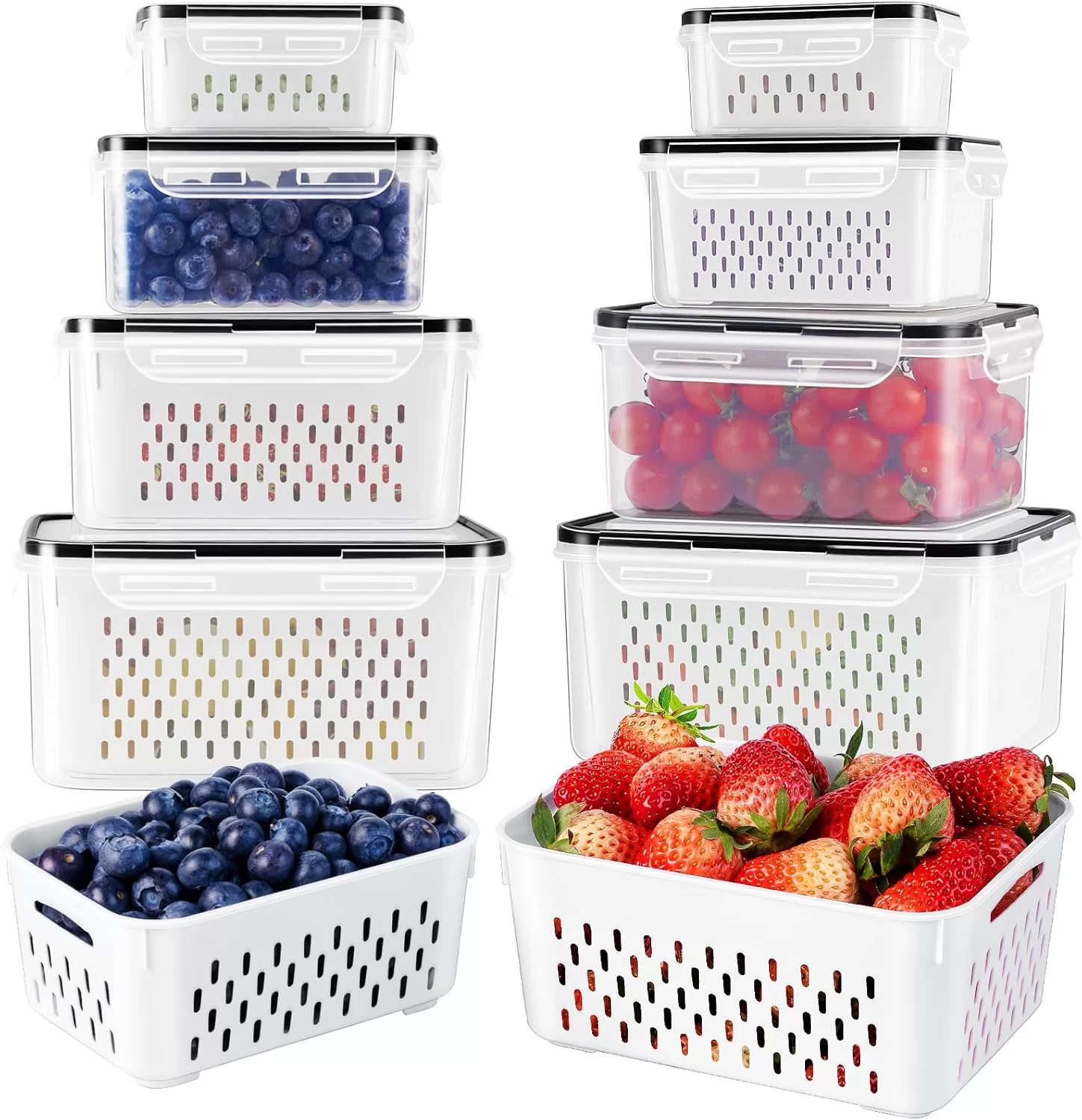 Fruit Containers » cartech.tech