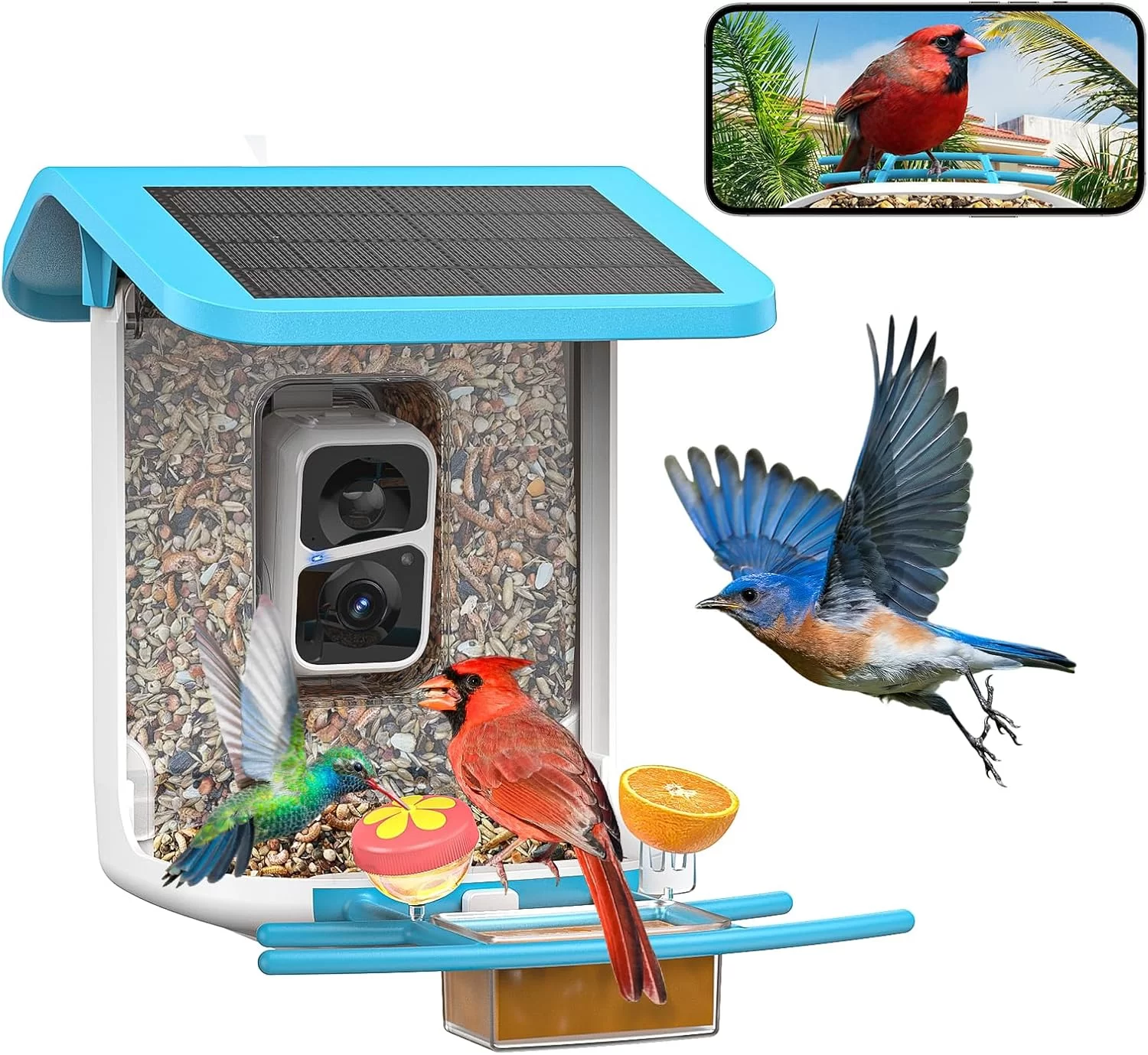 Bird Feeder » cartech.tech