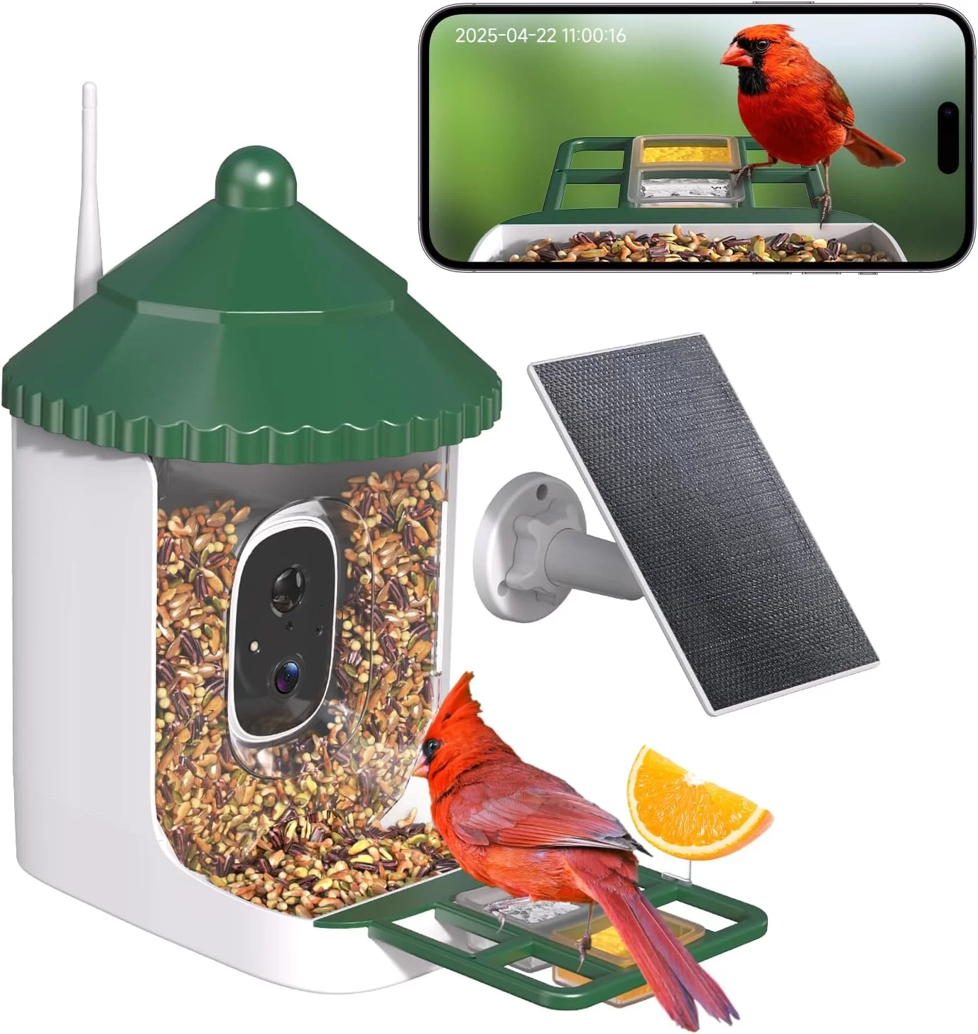 Smart Bird Feeder » cartech.tech